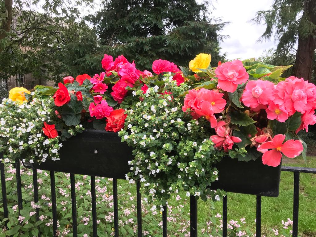 Carmunnock Plant Sale 2024 | Carmunnock