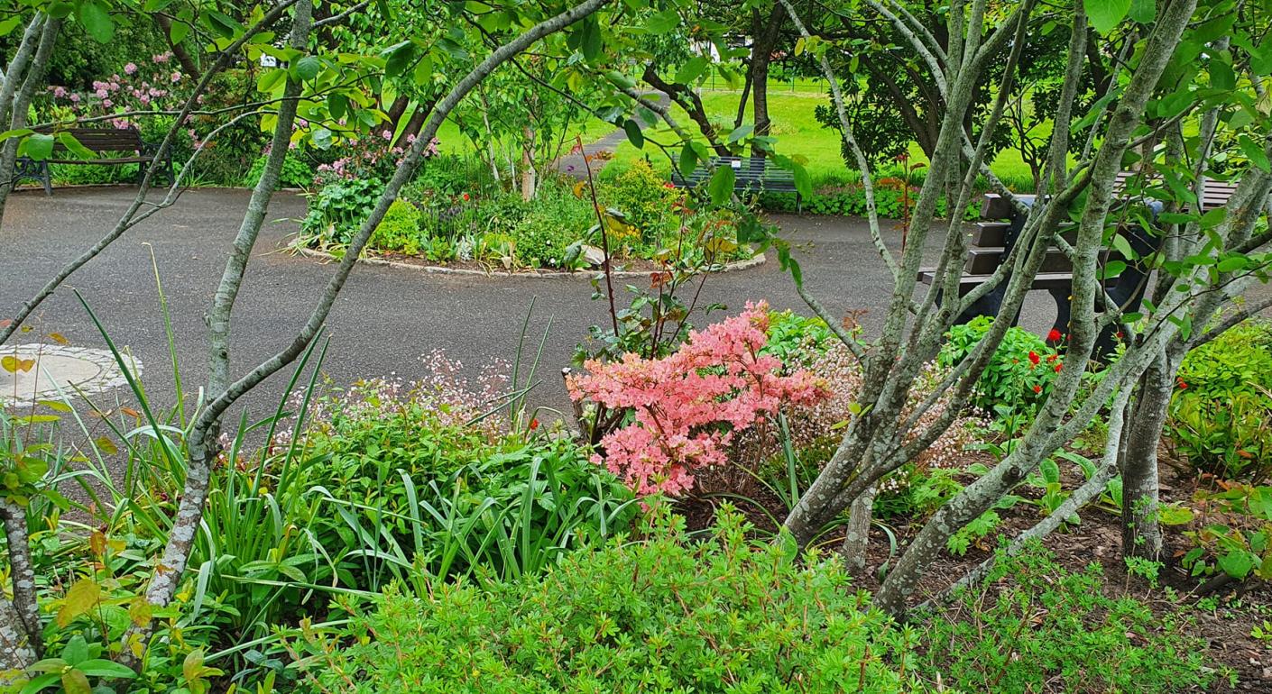 Horticulture and Community Gardening | Carmunnock